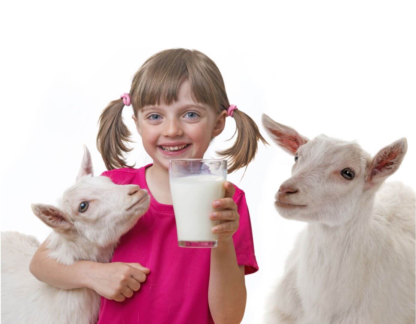 12 Curiosidades sobre o Leite de Cabra Caprilat que Você Vai Adorar ...